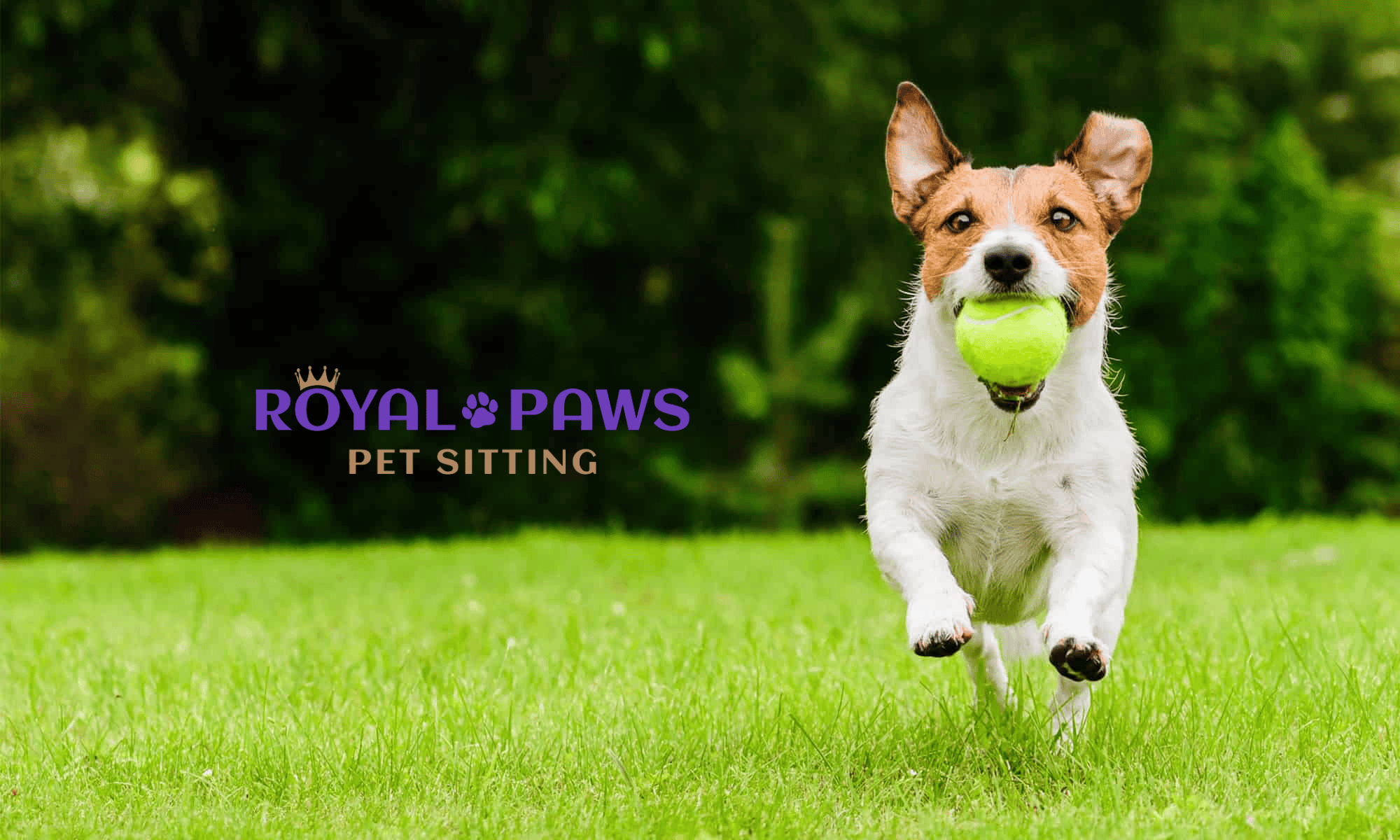 Butler Tarkington - Royal Paws Pet Sitting